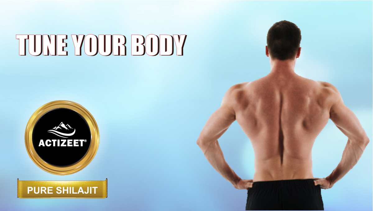 Benefits of Shilajit for Bodybuilding
