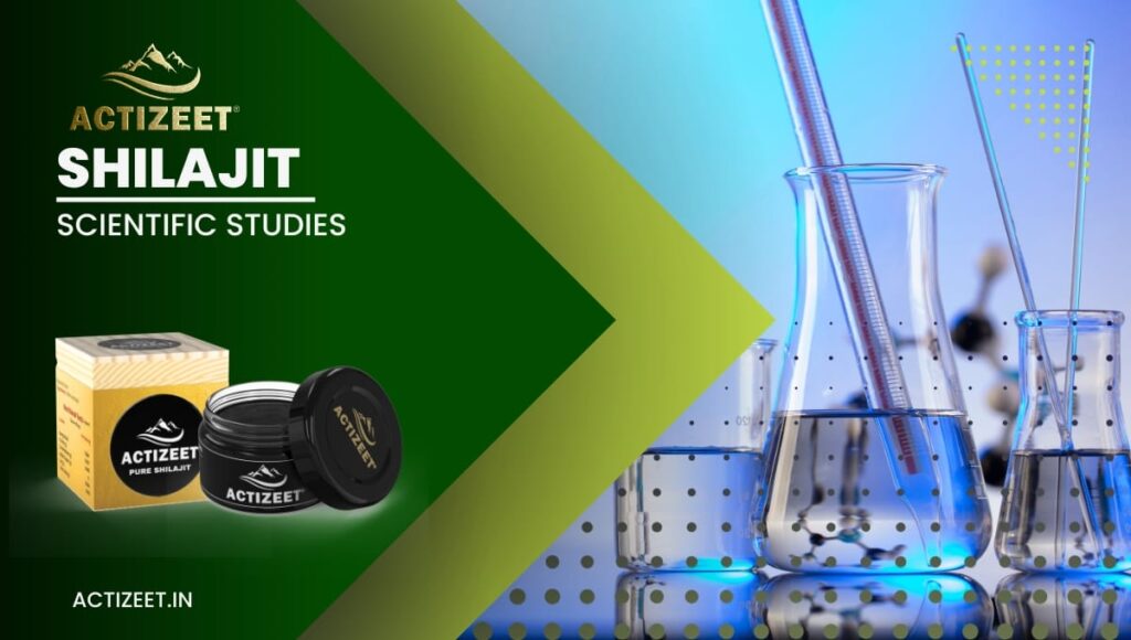 How Shilajit Is Made: The Intricate Process Of Shilajit Formation