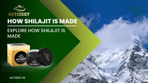 How Shilajit Is Made: The Intricate Process Of Shilajit Formation