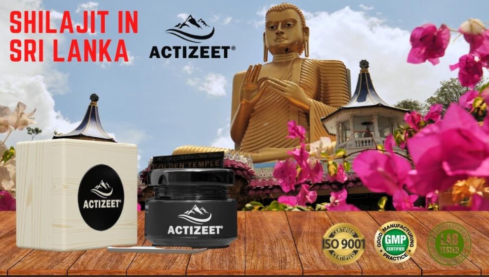 Shilajit In Sri Lanka | ACTIZEET | Best Shilajit In The World