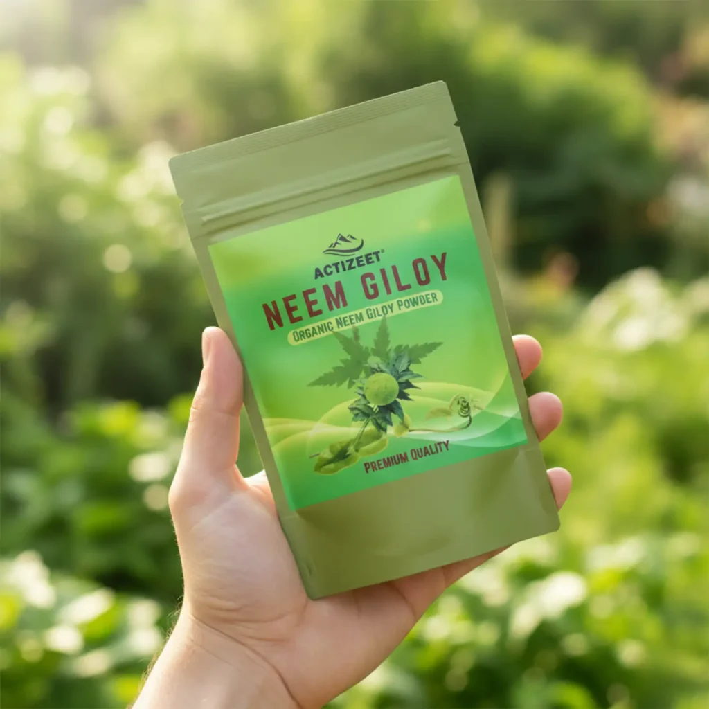 ACTIZEET® Neem Giloy Powder 300g | Pure Ayurvedic Immunity Support