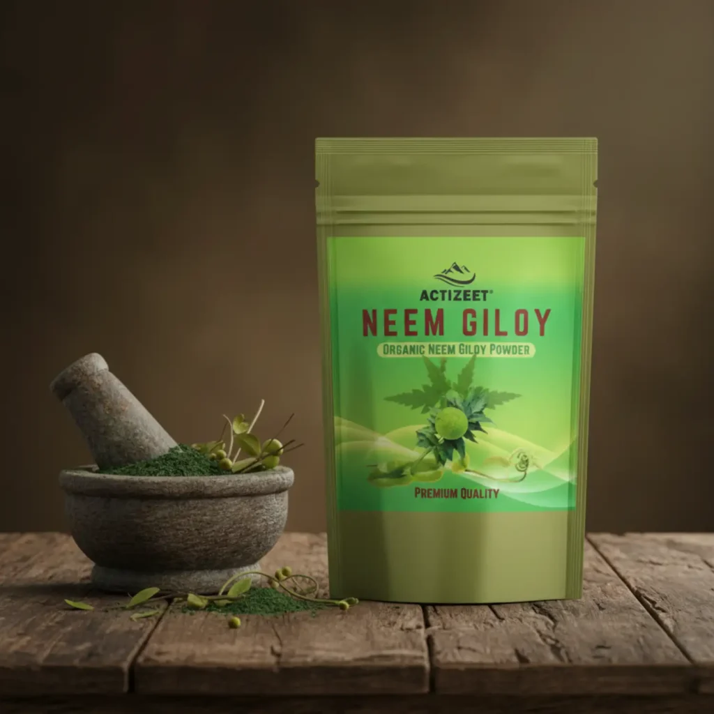 ACTIZEET® Neem Giloy Powder 300g | Pure Ayurvedic Immunity Support