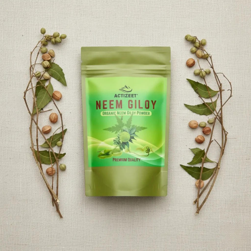 ACTIZEET® Neem Giloy Powder 300g | Pure Ayurvedic Immunity Support