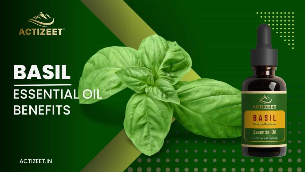 Basil Essential Oil Benefits For Skin, Mind, And Health | Complete Indian Wellness Guide