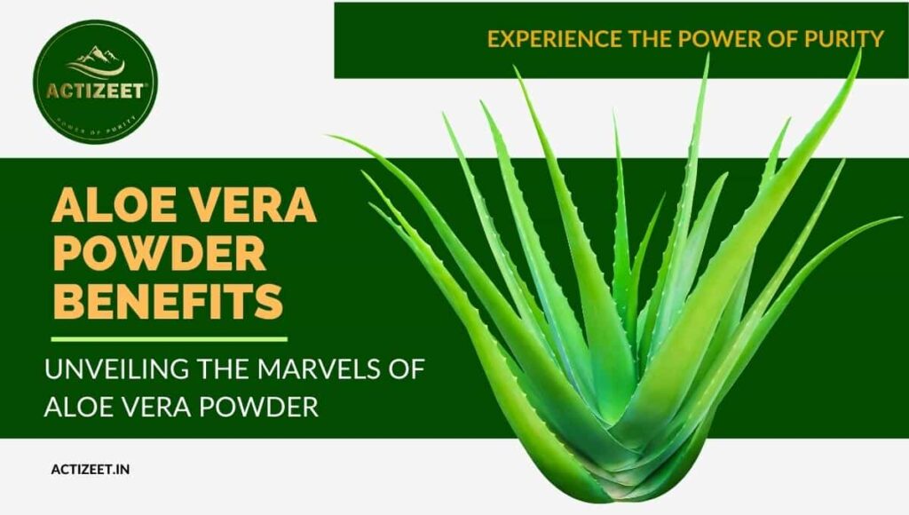 Aloe Vera Powder: Unveiling Marvels