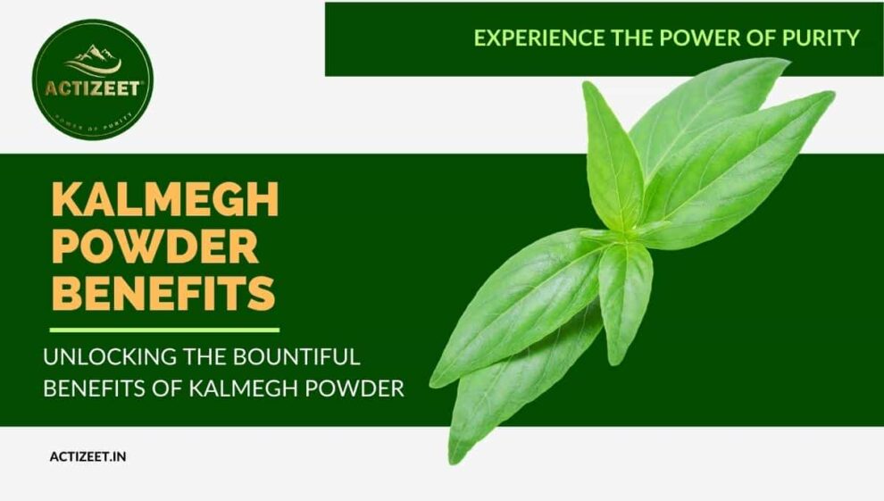 Kalmegh Powder Benefits | Natural Immunity & Liver Support – ACTIZEET