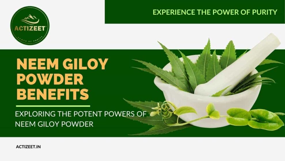 Unleashing Neem Giloy Powder's Potent Powers: A Deep Dive