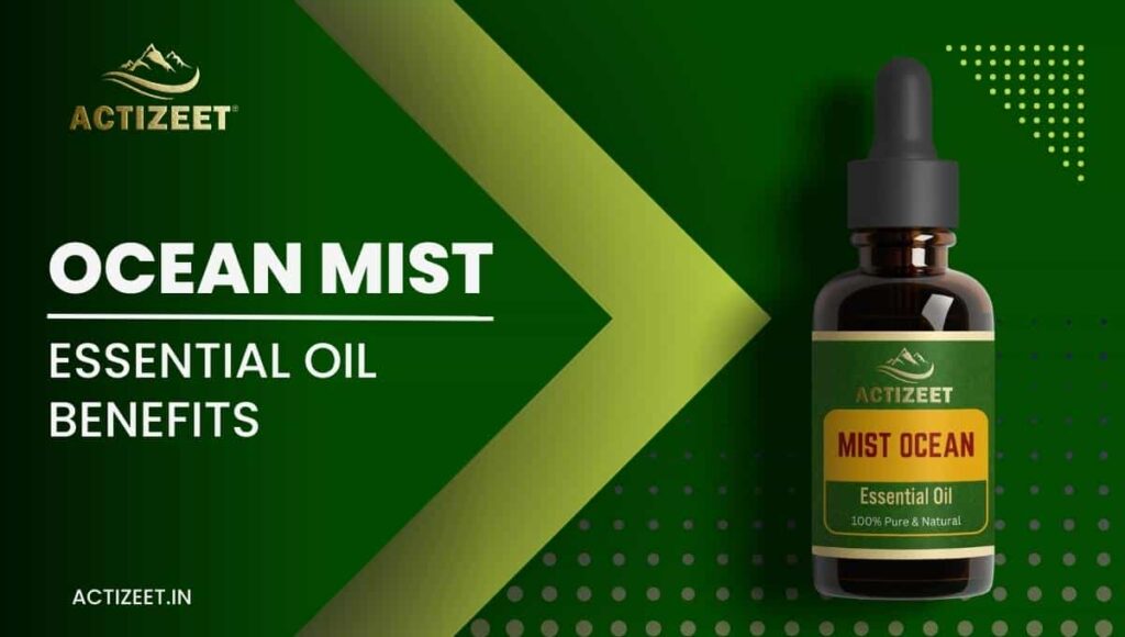 Unlocking Ocean Mist Essential Oil Benefits: A Deep Dive