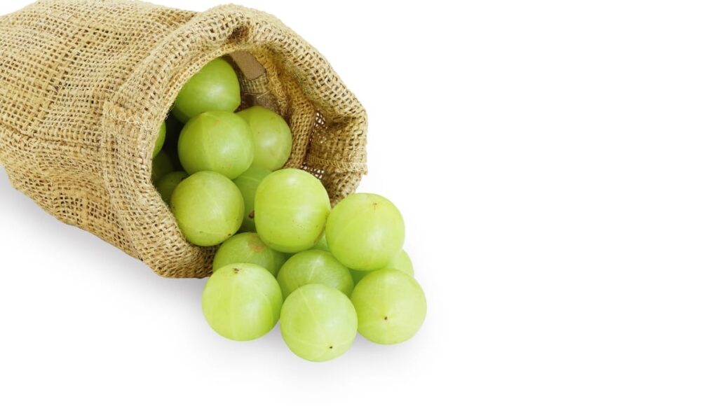 Amla Powder In New Delhi | Best Amla Powder In India
