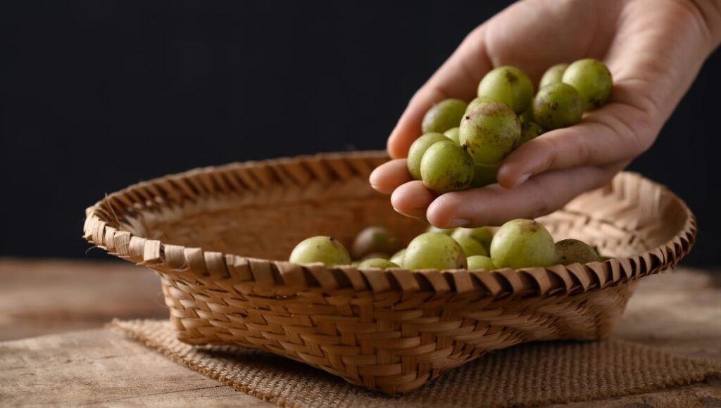 Amla Powder In Kochi (Kerala) | Best Amla Powder In India