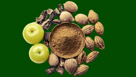 What Is Triphala Powder? Benefits, Uses, And Everything You Need To Know