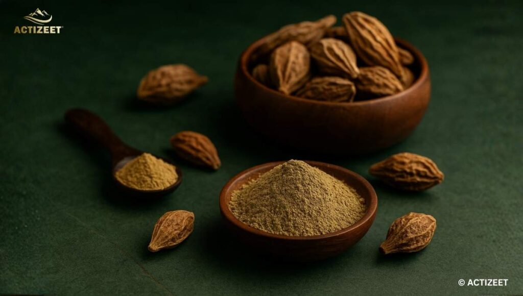 Best Haritaki Powder In India For Complete Wellness | ACTIZEET