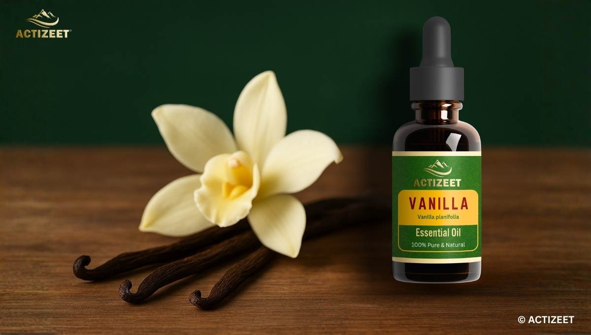 Best Vanilla Oil In India: Top Benefits, Uses, And How To Choose The ...